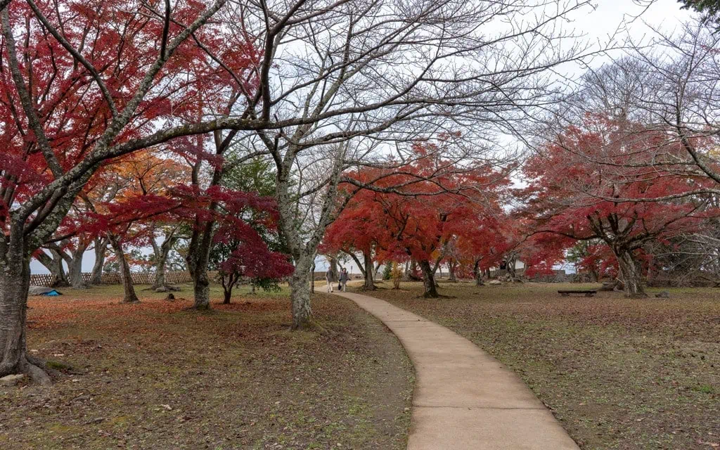 Taking a day trip to Hikone from Kyoto