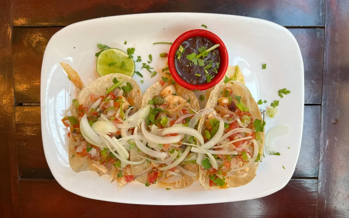 O'Reilly 304: Trendy restaurant in Havana, Cuba